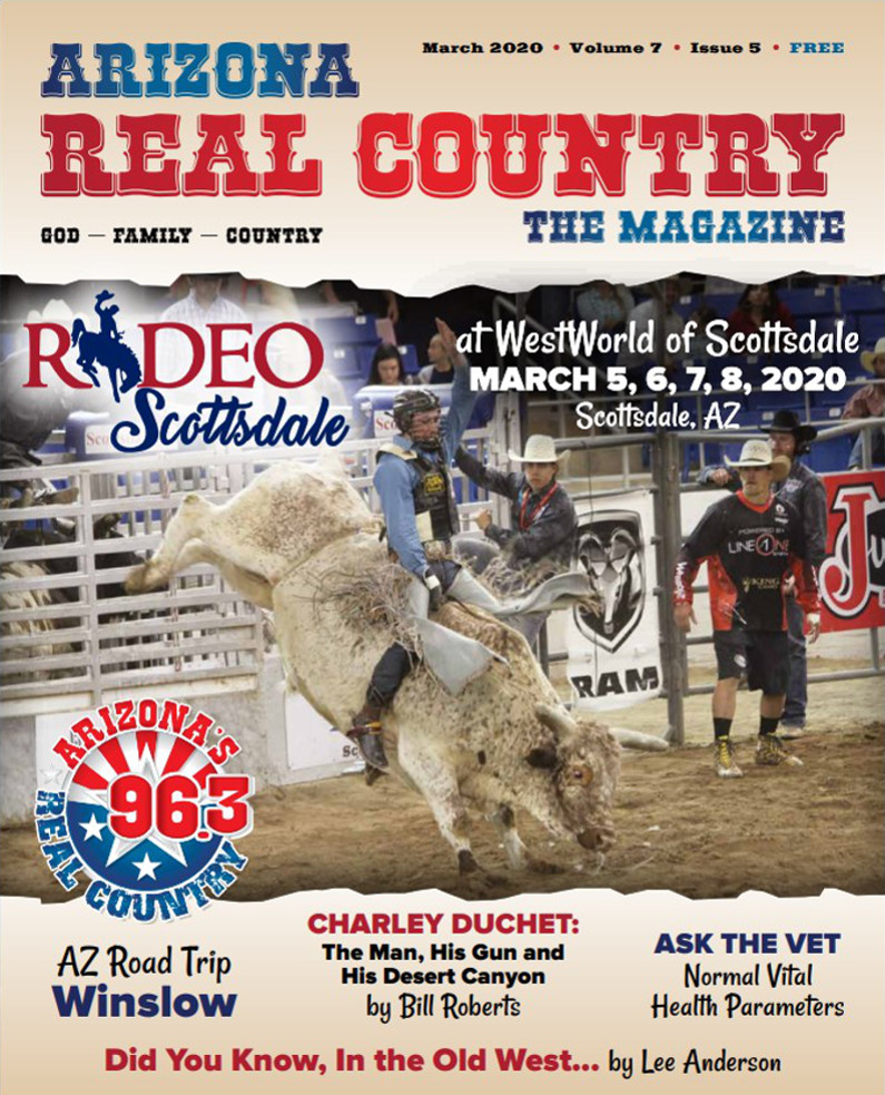 March_2020Arch | Arizona Real Country